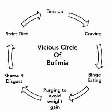 What Are Eating Disorders Ottawa? - The Balanced Practice