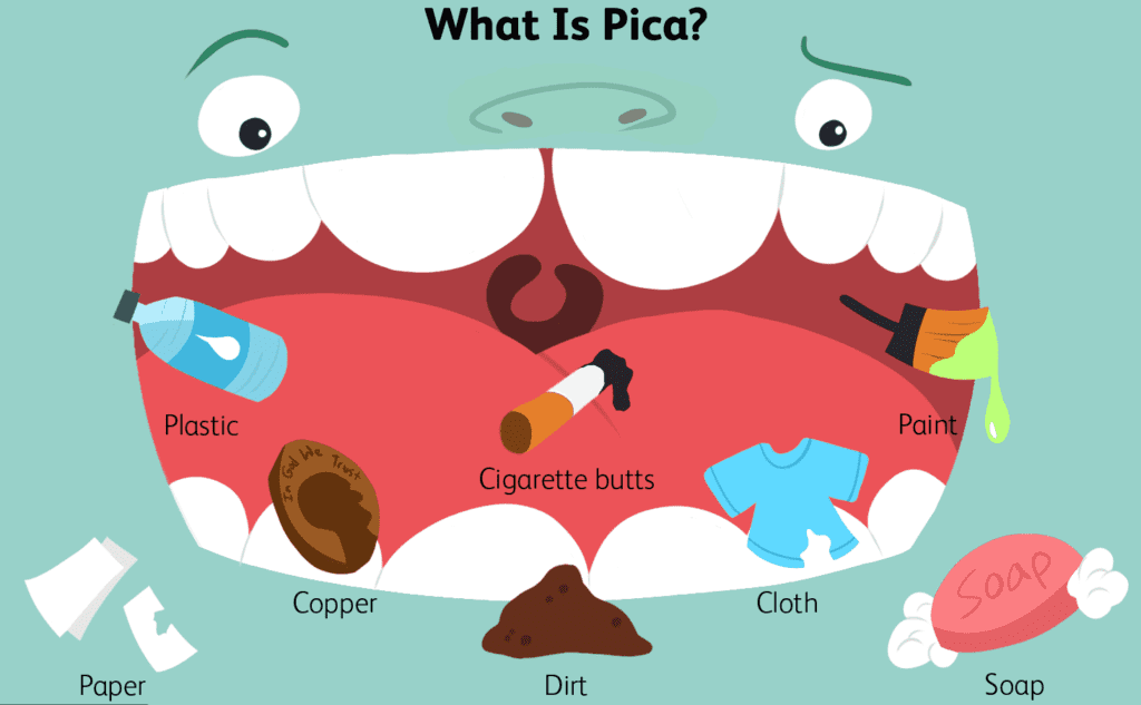 Warning Signs of an Eating Disorder | The Balanced Practice